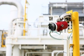 Quality07 T.M. Markiewicz sp.j. to Brylant Polskiej Gospodarki 2024 i ...